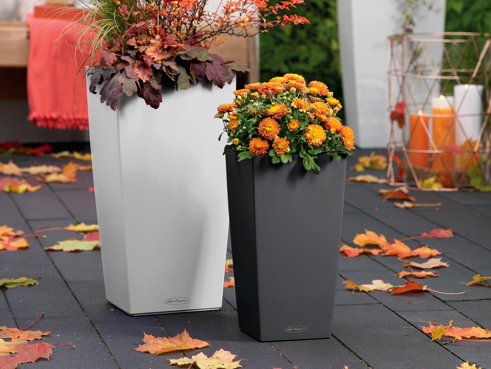 LECHUZA pots avec système d'arrosage - France