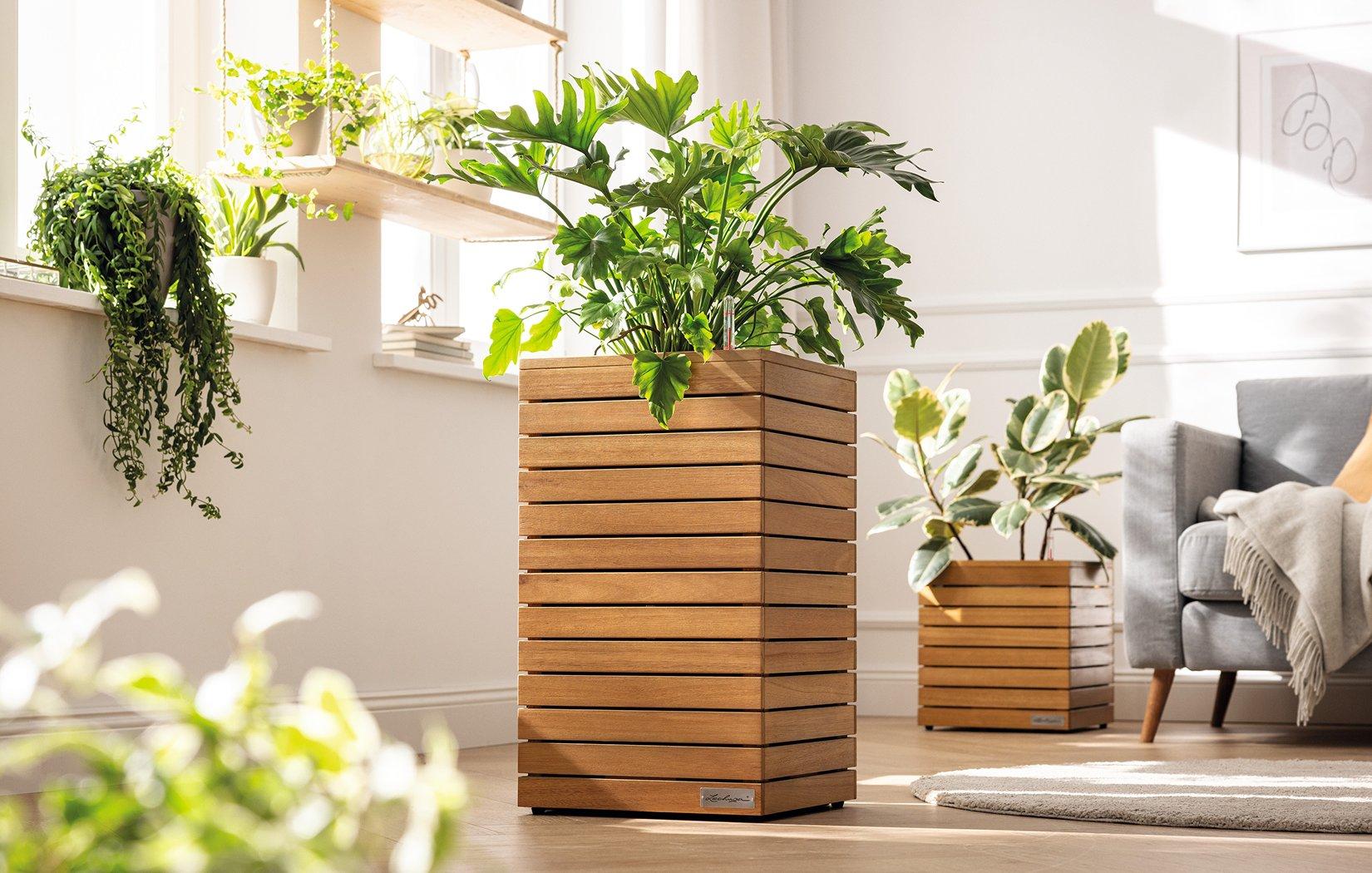 Lechuza Ξύλινες γλάστρες