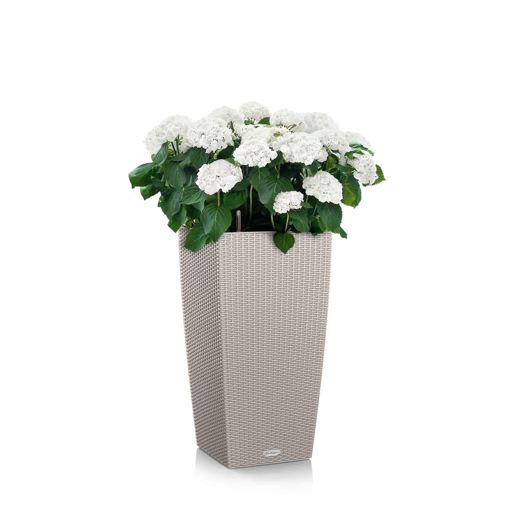 CUBICO Cottage sandbraun, Pflanzsäule - LECHUZA