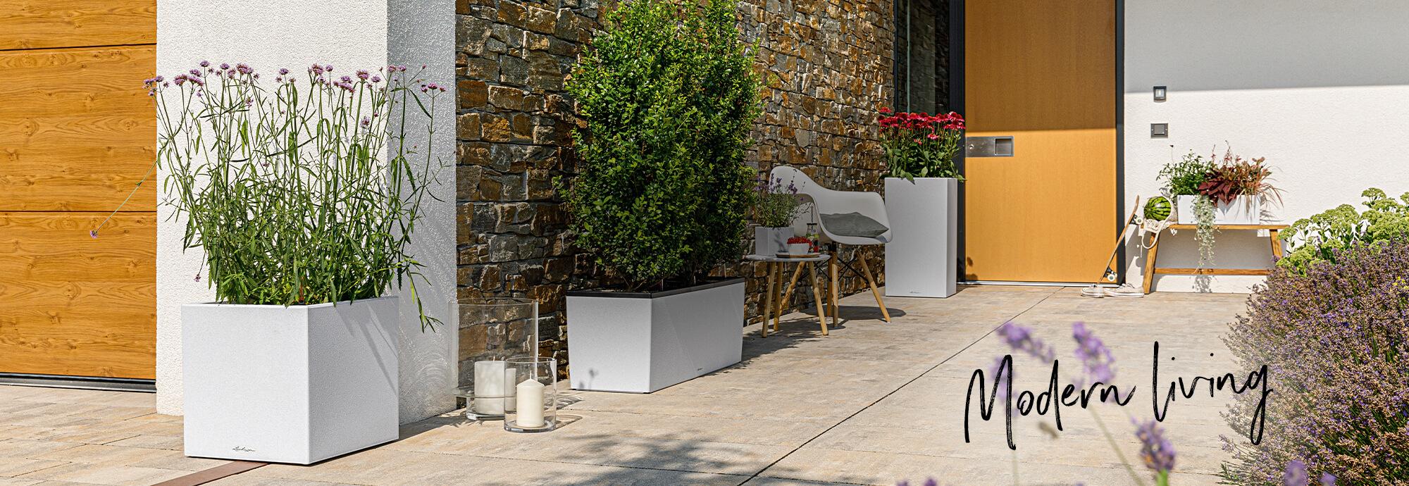 LECHUZA pots avec système d'arrosage - France