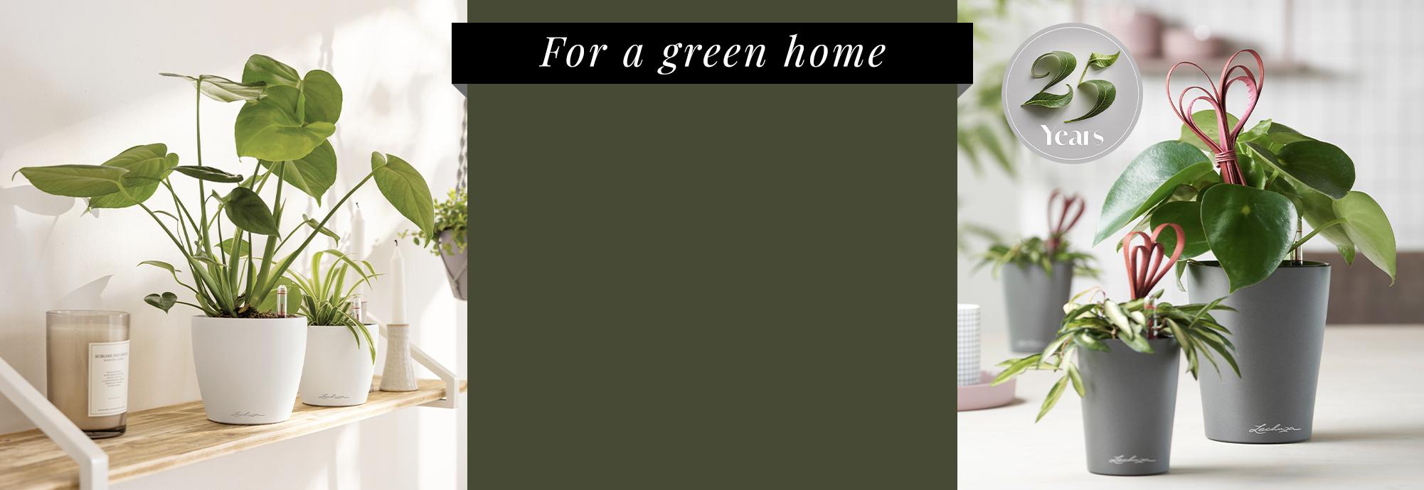 LECHUZA Self-Watering Planters