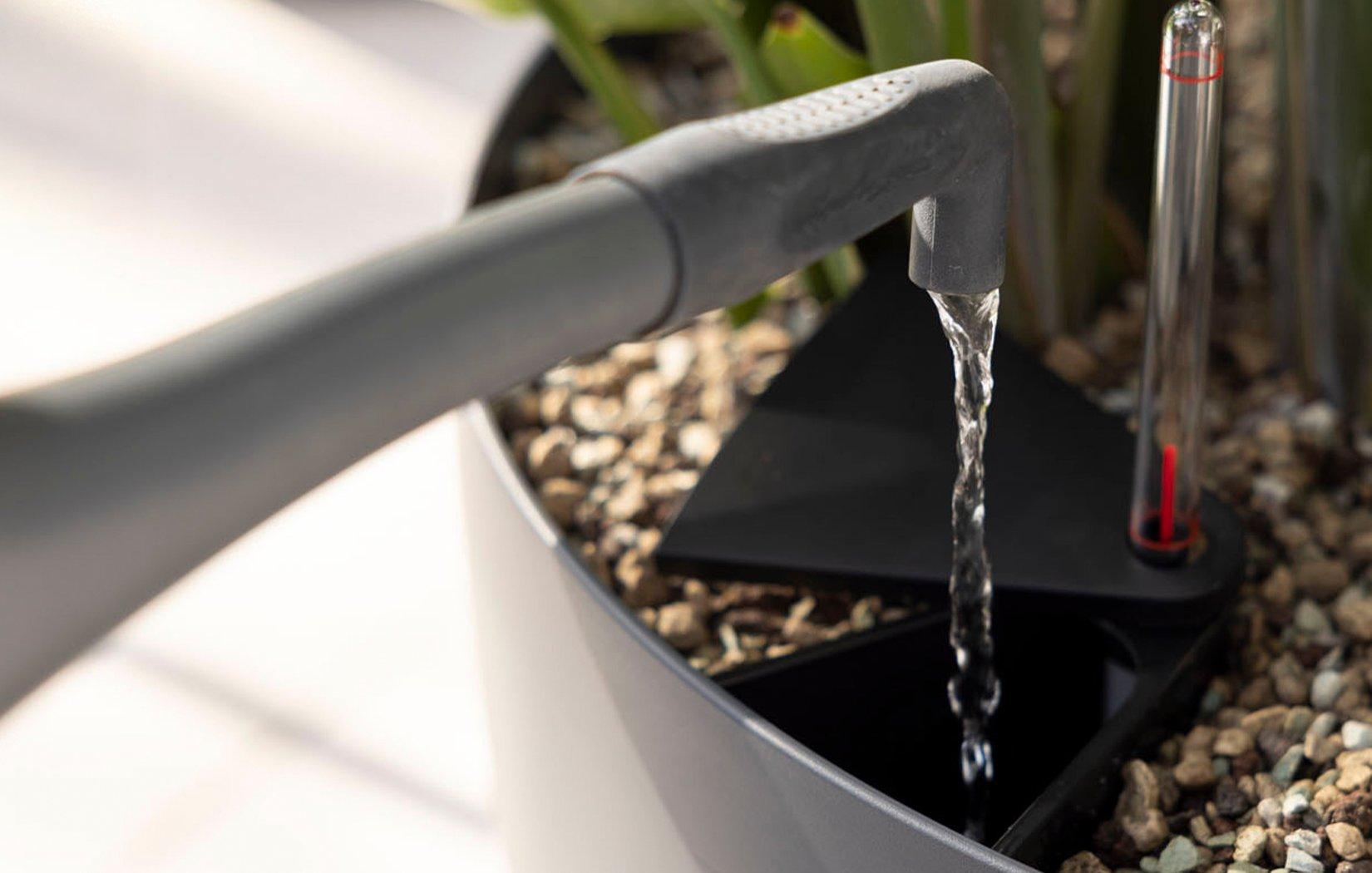 Lechuza self watering system