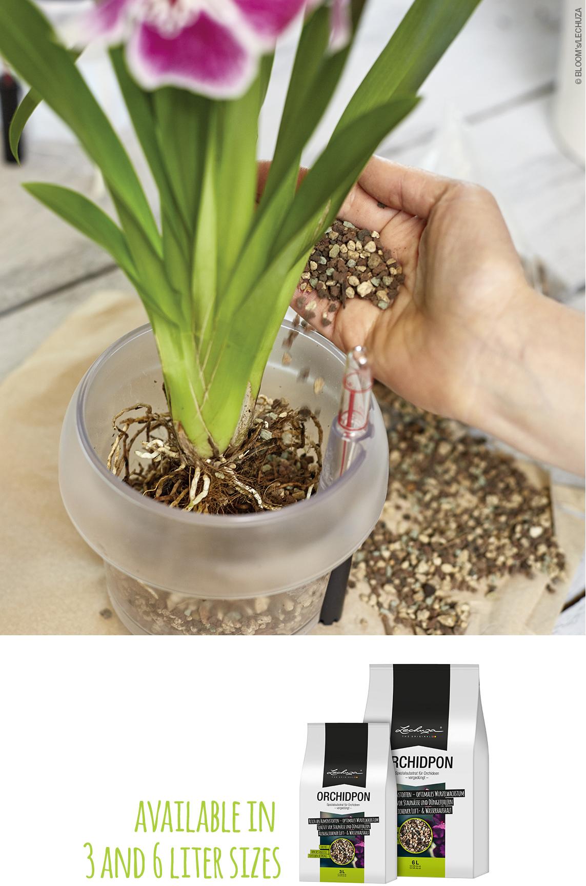 LECHUZA plant substrates - The right substrate for every application