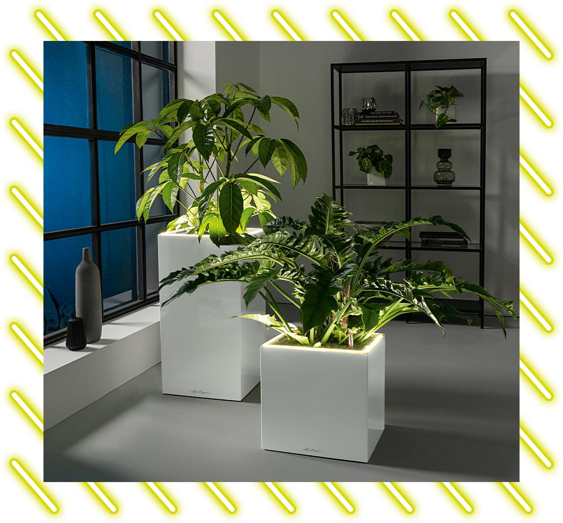 Themenwelt CANTO LED